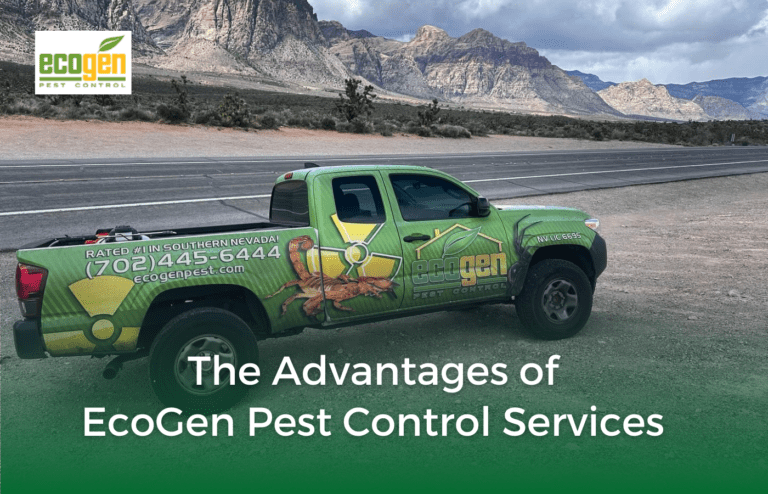 Pest Control Las Vegas NV | EcoGen Pest Control